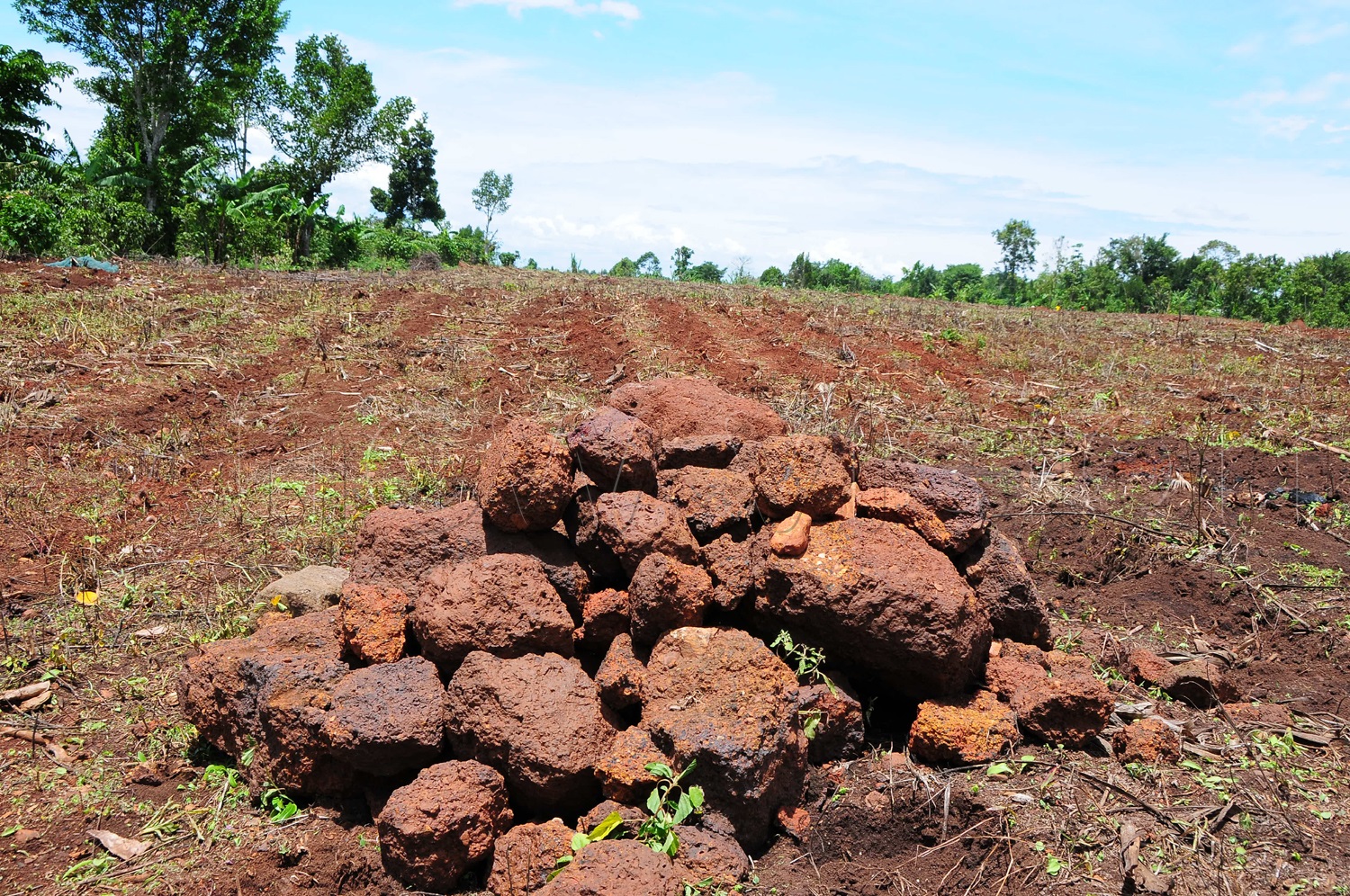 Experts predict less favourable rain