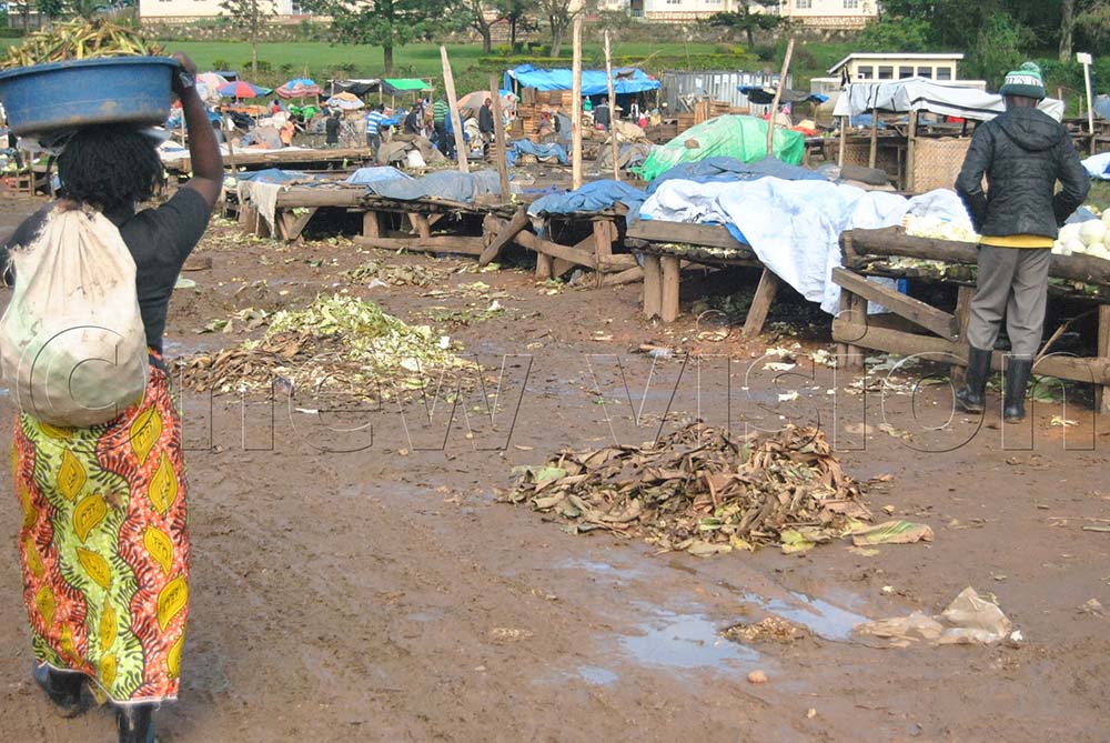 Fort Portal plans waste management privatisation