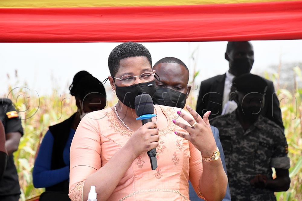 📸 Biggest rice scheme launched in Bukedea - New Vision Official