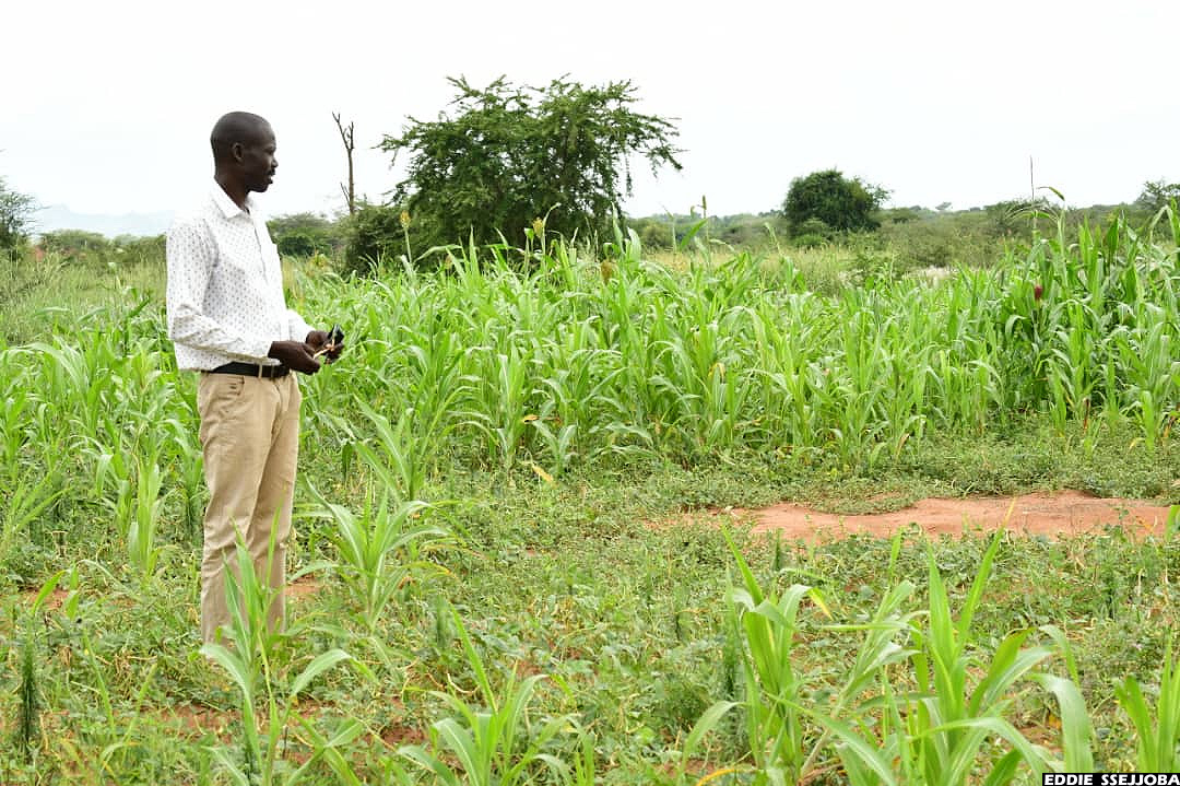 Lolachat Seed SS sets sights on more greening - New Vision Official