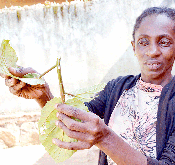 Omukunyu ddagala ku mutima ate kigimusa