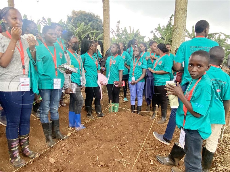 Gayaza High School farm camp kicks-off - New Vision Official