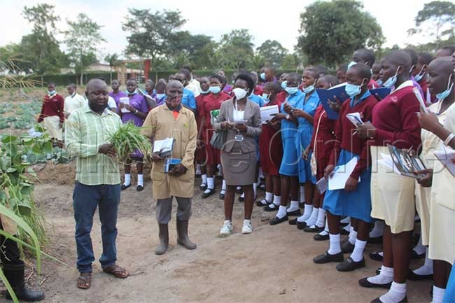 Gavumenti egenda kuyambako mu nsengeka y'ebyensoma empya - New Vision ...