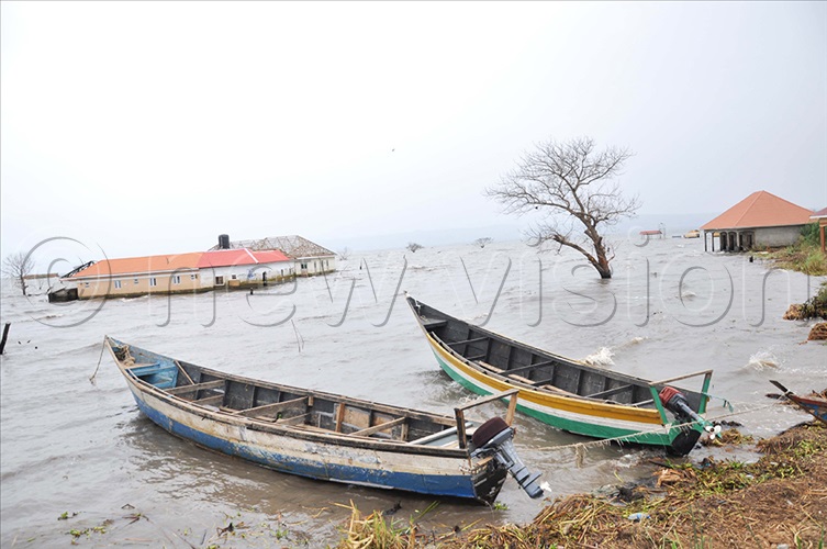 Buliisa district grapples with water scarcity - New Vision Official