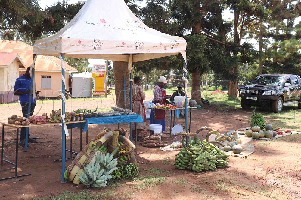 Farmers shun middlemen to increase profits from agricultural produces ...
