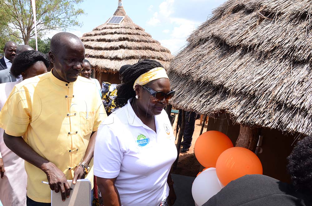 Teso gets electricity access scale-up project - New Vision Official