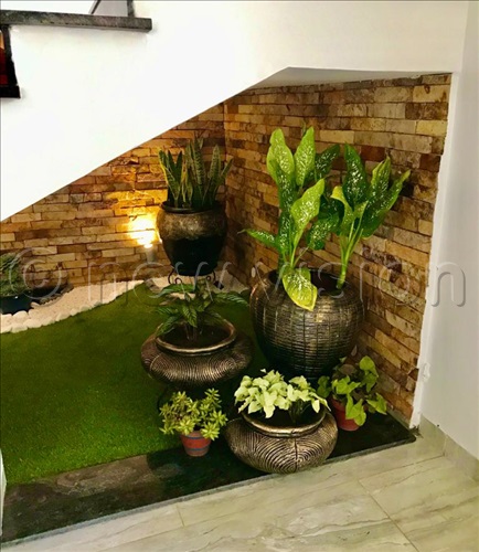 How to install a rock garden indoors - New Vision Official