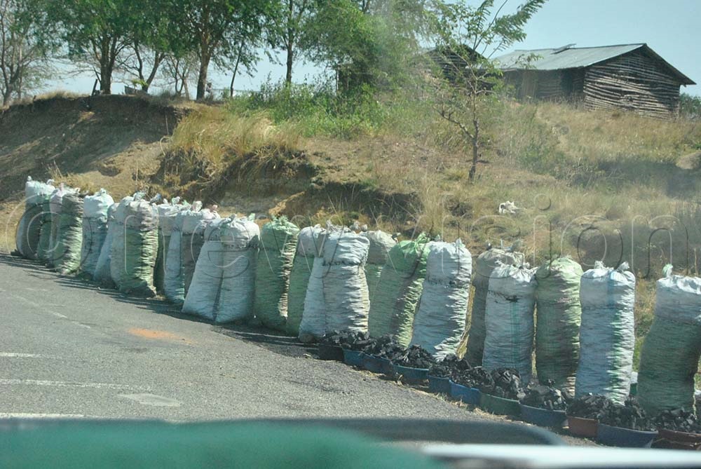 Ntoroko seeks partner in mountain cover restoration - New Vision Official