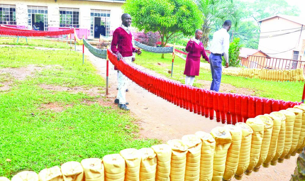How Kololo SSS uses biogas to conserve environment - New Vision Official