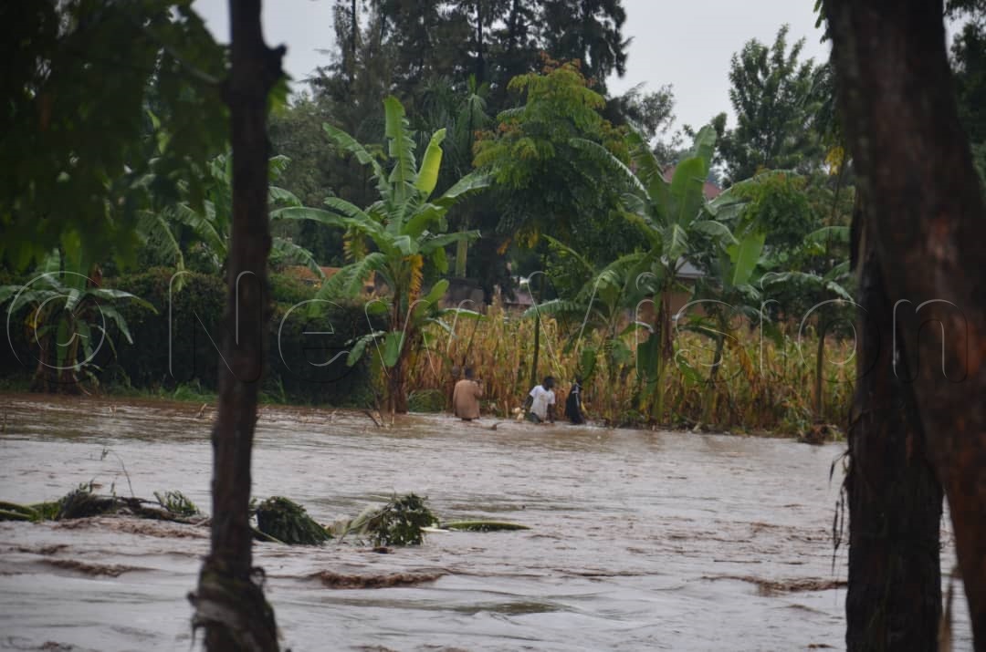 📸 Mbale flash floods in pictures - New Vision Official