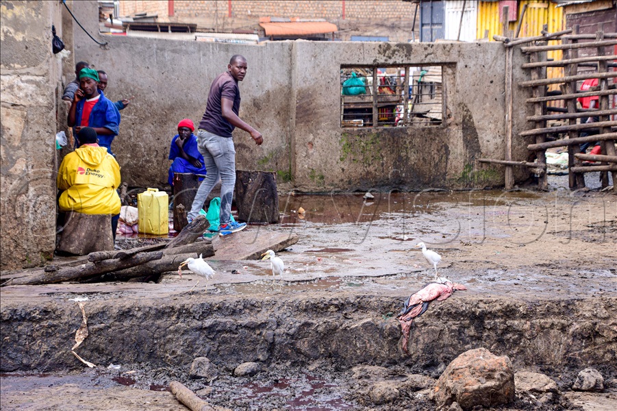 City abattoirs grappling with hygiene challenges - New Vision Official