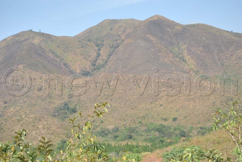 Ntoroko seeks partner in mountain cover restoration