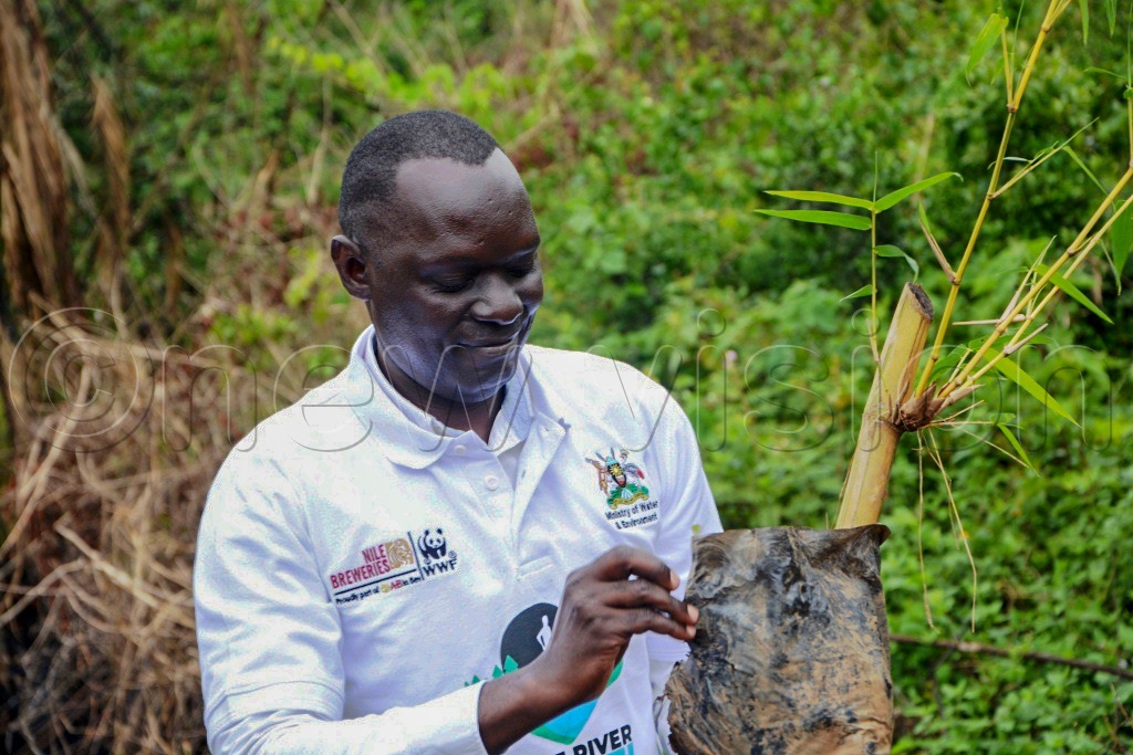 Ministry using bamboo to restore R.Rwizi buffer zones - New Vision Official