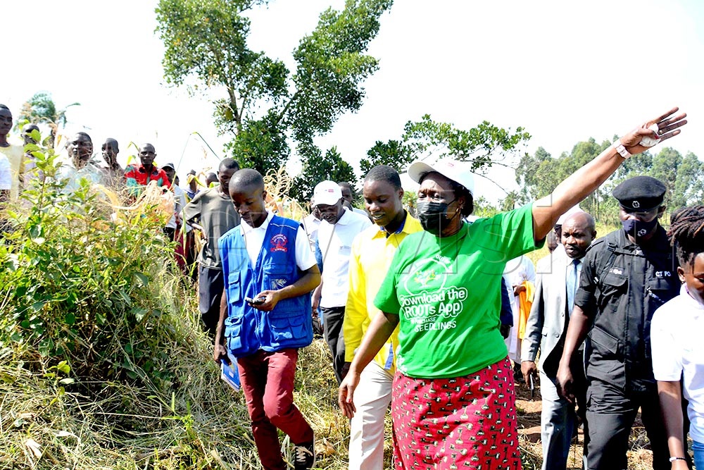 WWF launches forests restoration drive in Kagadi, Kibaale - New Vision ...