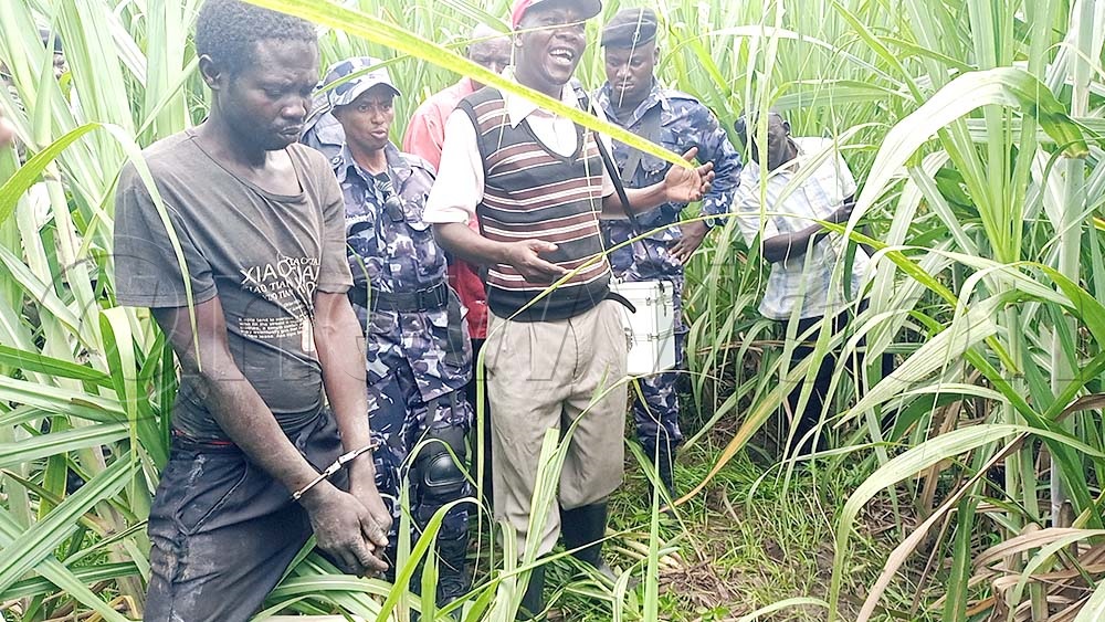 Two arrested over 5-year-old murder in Mbale city