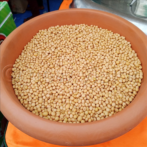 Soya good for your health - New Vision Official