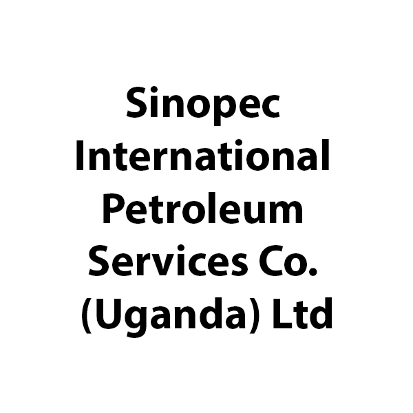 CALL FOR APPLICATION - New Vision Official