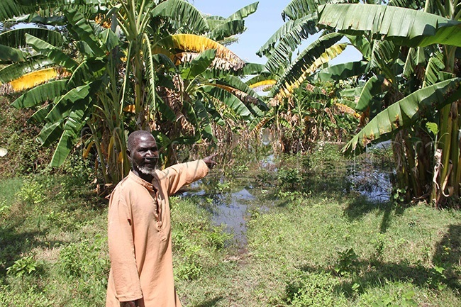 Poor farming practices increase incidents of climate change