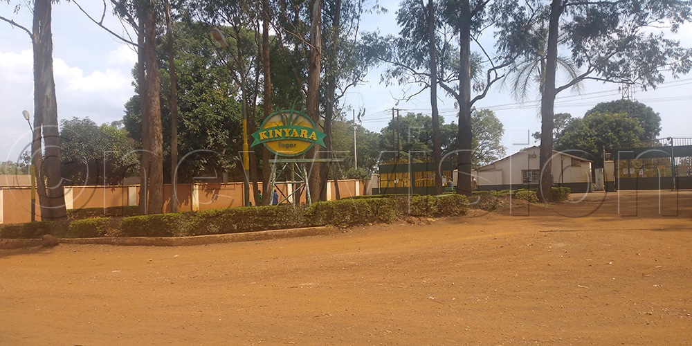 Kinyara sugar grappling with cane poachers