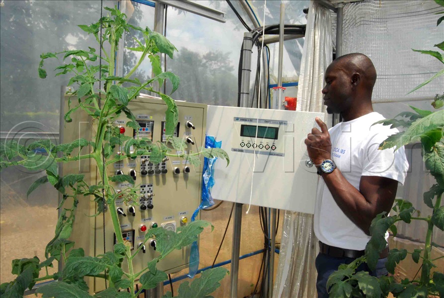State of the art greenhouse to boost tomato export market - Bukedde ...