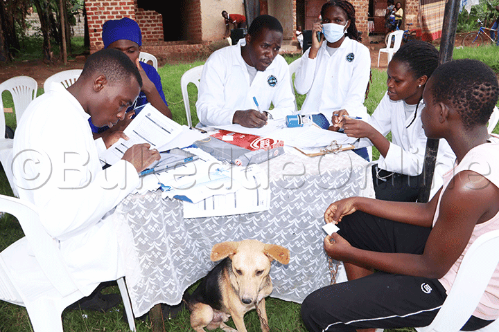 Makerere egemye embwa 204 e Kiryagonja, Matugga - New Vision Official